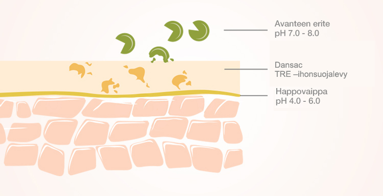 TRE Technology | Dansac FI